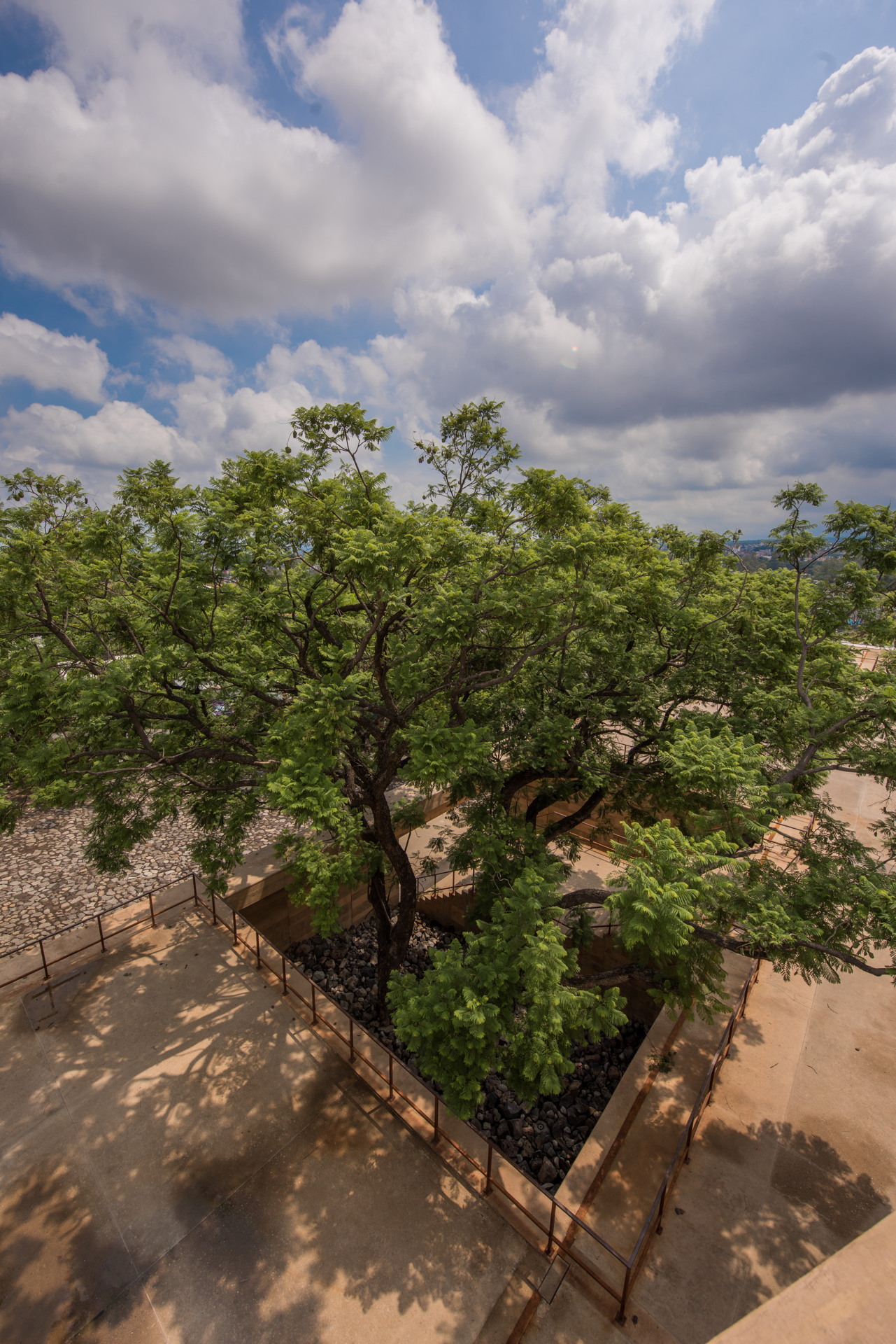 Isaac Broid和Productora Teopanzolco文化中心|LiveGreenBlog - betway必威betway必威 ...